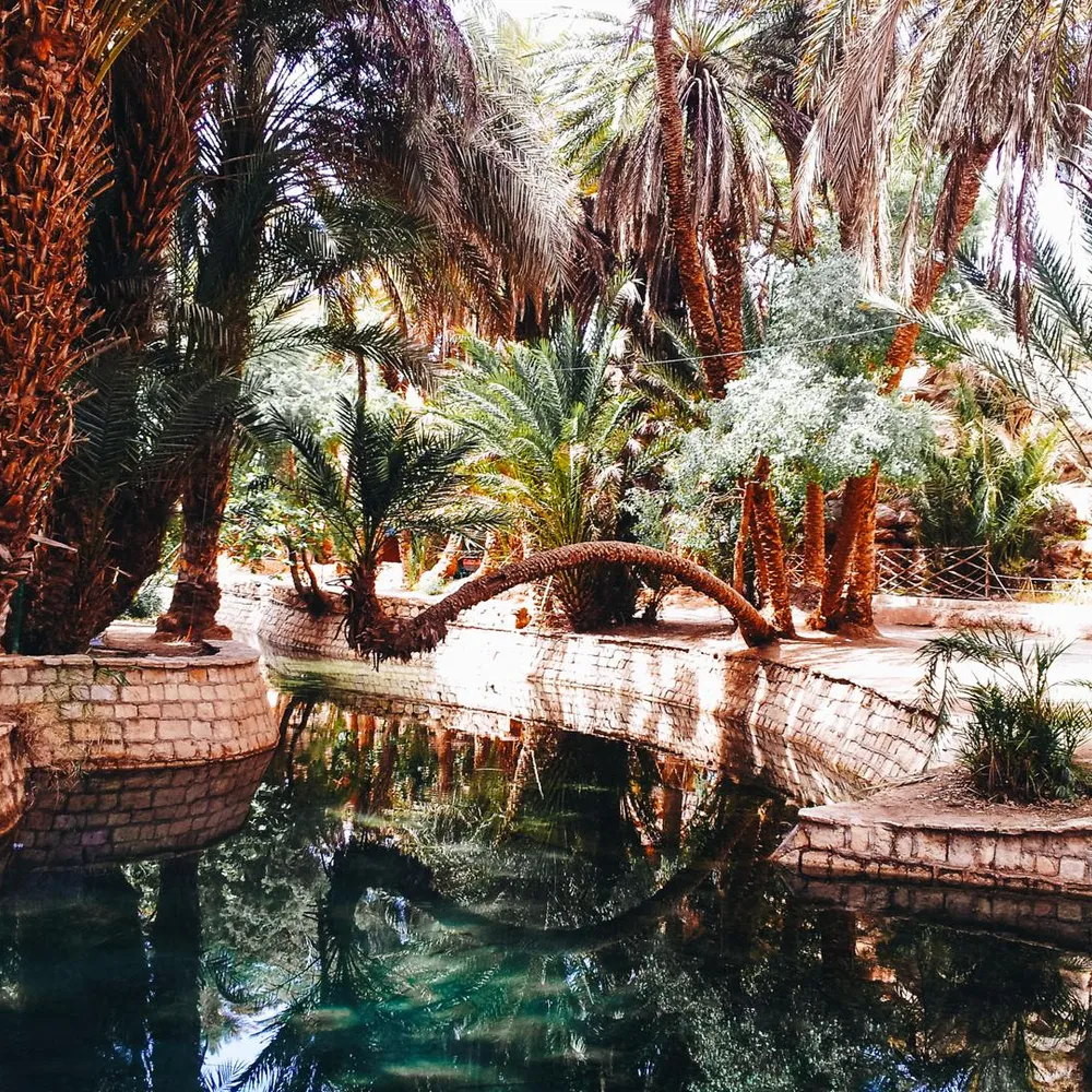 Trips to Chorfa M'Daghra with Passporter