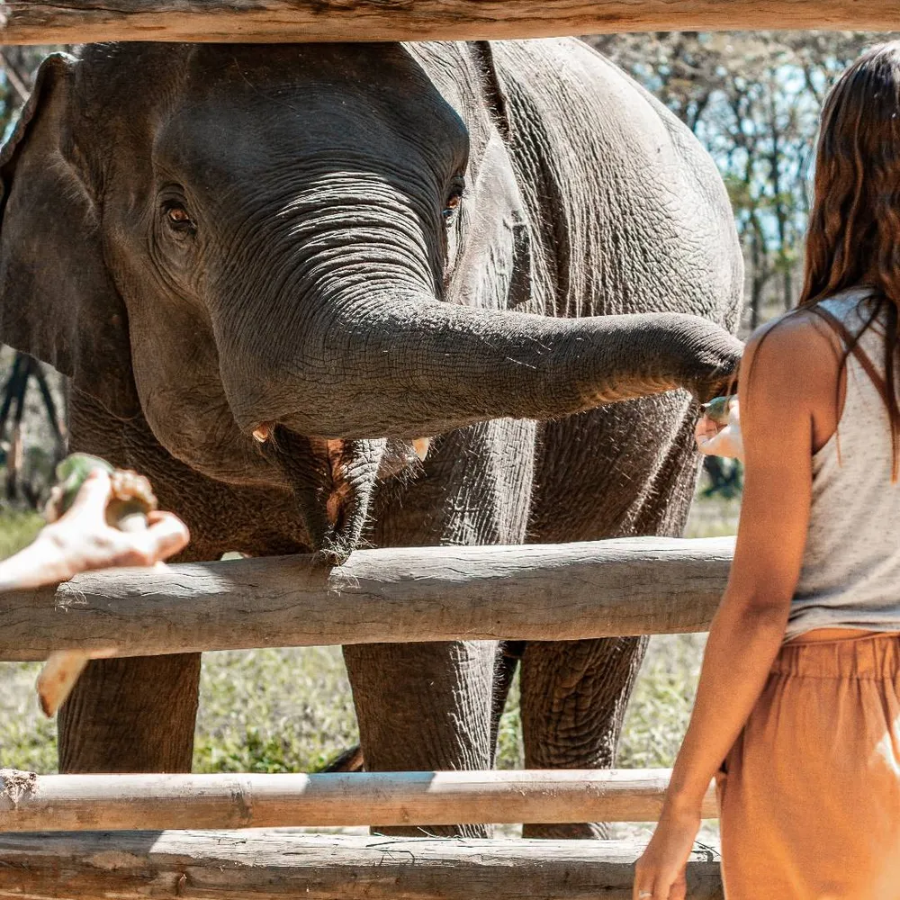 Trips to Chon Buri Province with Passporter